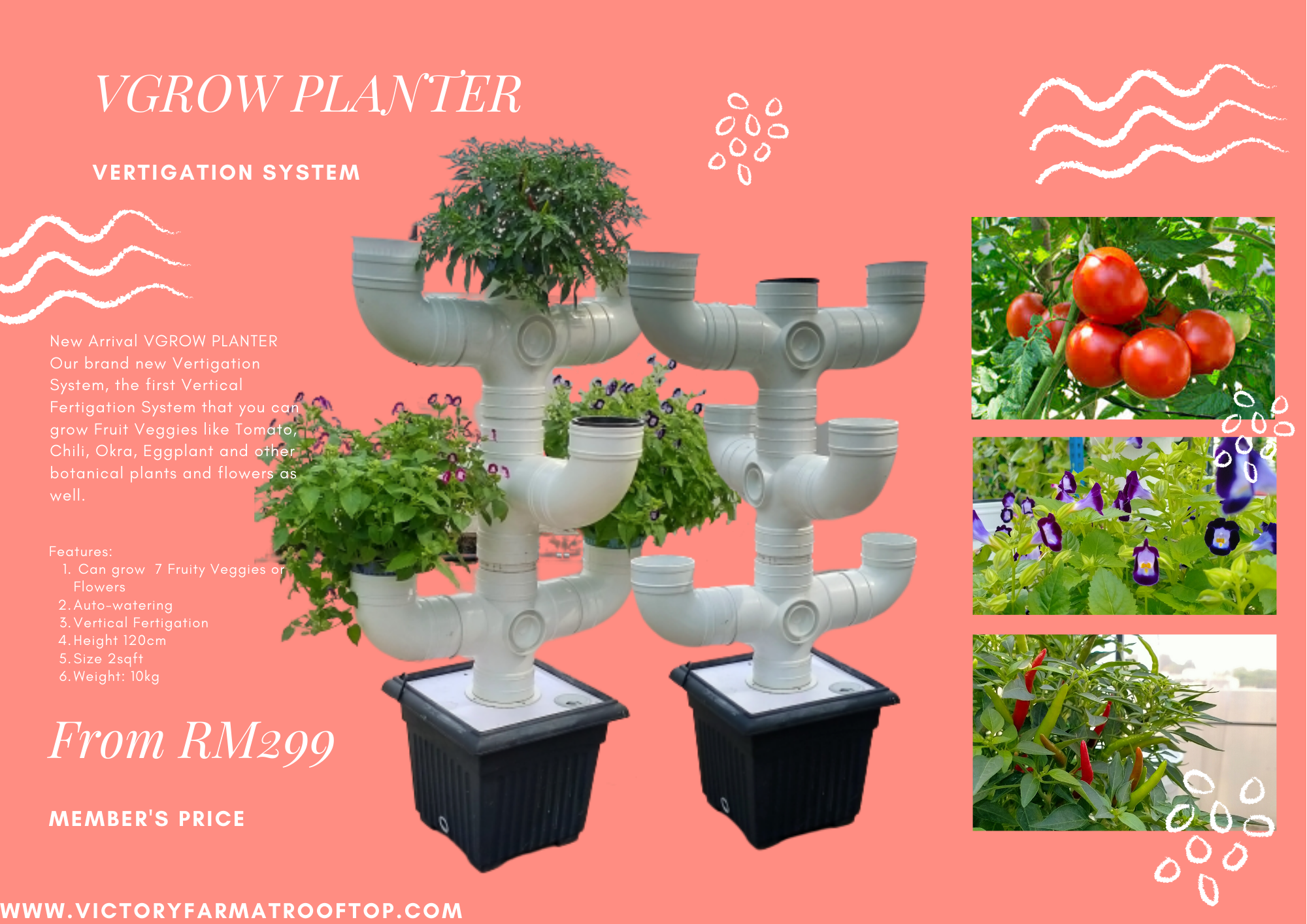 How to Grow Organic Vegetables at Home Vertically - VictoryFARM