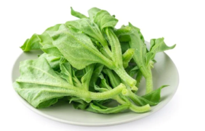 How to Grow Ice Plant Vertically in VGROW TOWER? - VF@RM