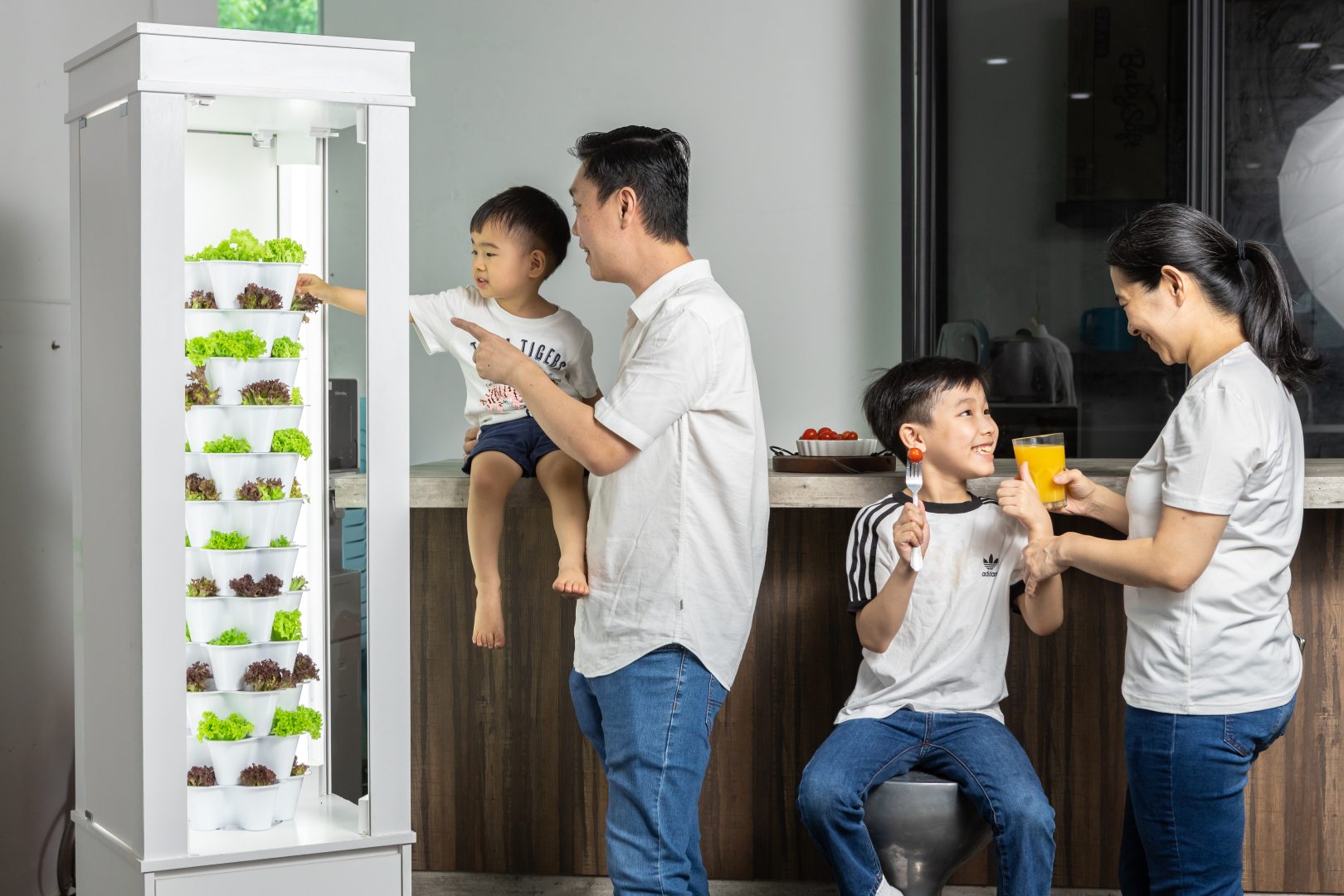 Why Vertical Farming at Home is a Must-Have for Every Family - VF@RM