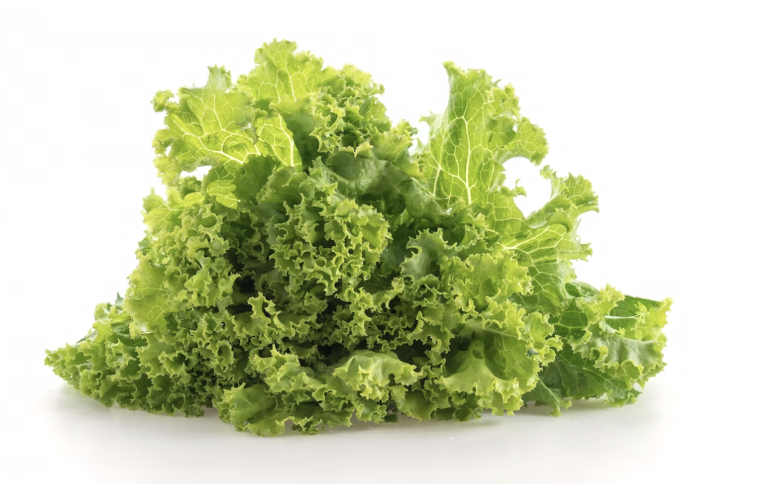 Why does my lettuce taste bitter? - VF@RM