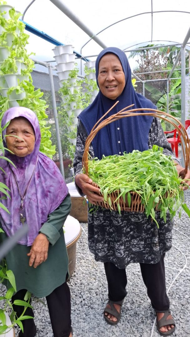 Easy Steps to Grow Your Own - VF@RM